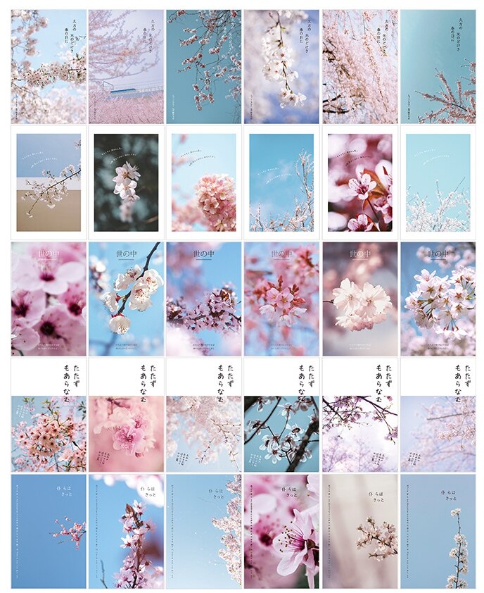 143mmx93mm pink flower paper postcard – Grandado