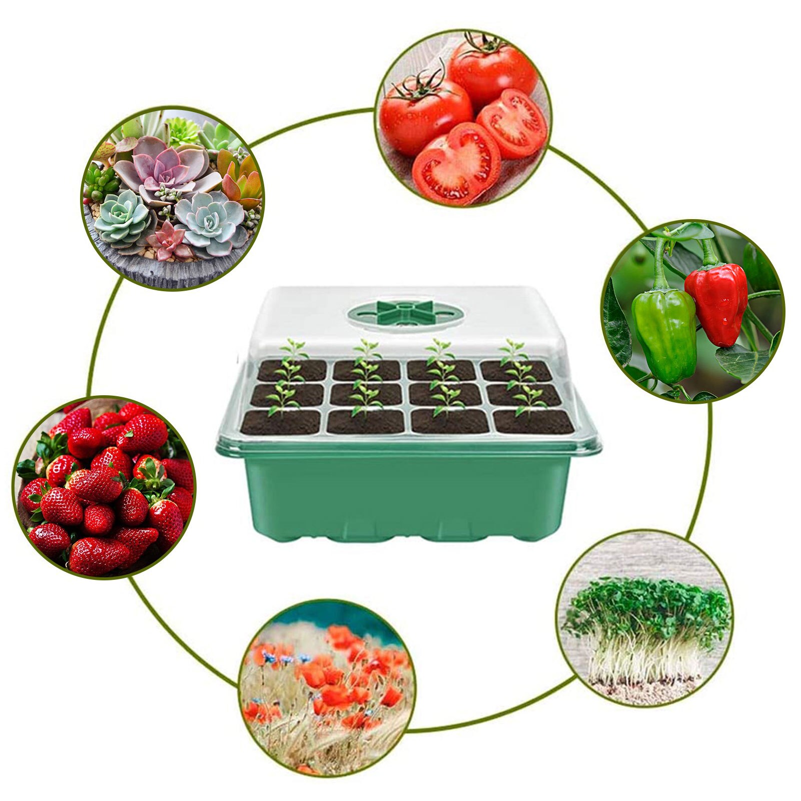 12 hole Planting Propagator Starter Seed Tray Kit ... – Vicedeal