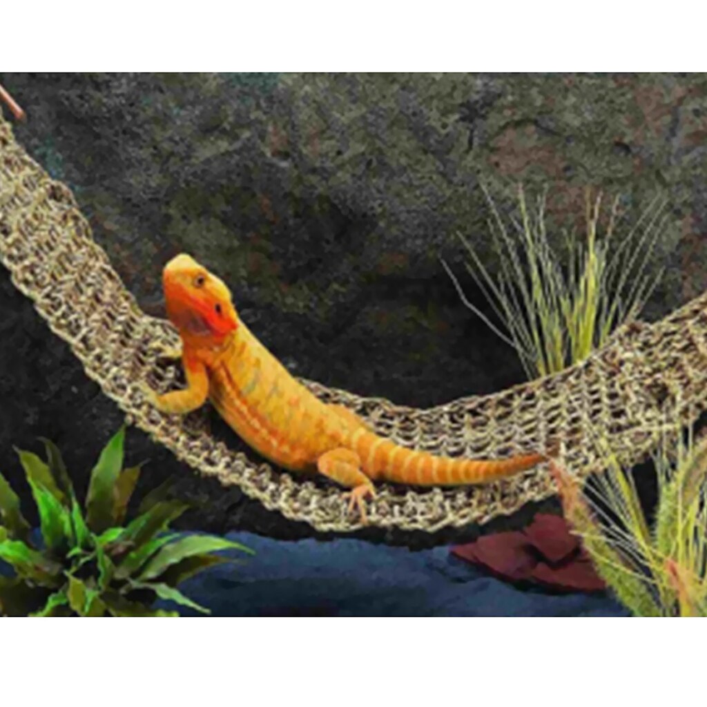 Reptile Hammock Lizard Lounger Natural Seagrass Co... – Vicedeal