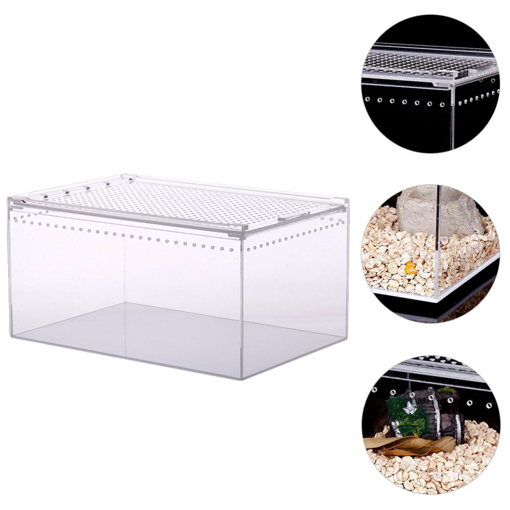 Acrylic Reptile Box Climbing Pet Feeding Container... – Vicedeal