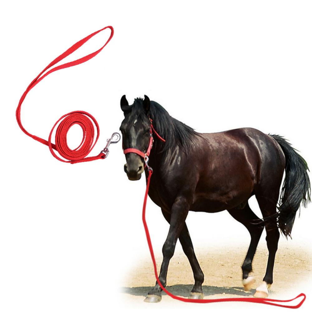 3M Nylon Horse Reins Adjustable Riding Equipment H... – Vicedeal