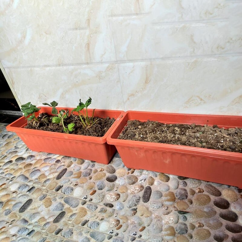 3 Packs 19.6 Inches Flower Window Box Plastic Vege... – Vicedeal