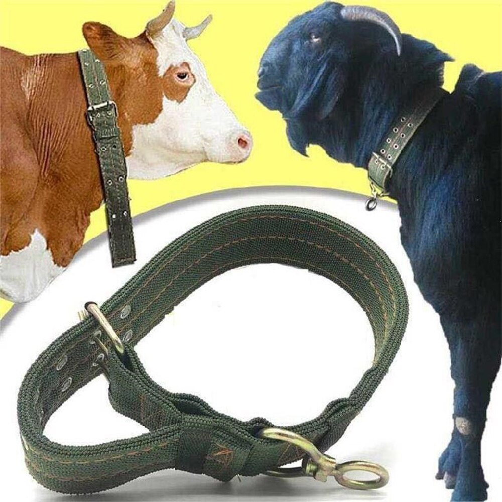 Adjustable Cattle Collar Cow Hauling Collar Livest... – Vicedeal