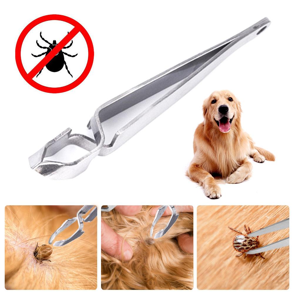 3.54in Pet Tick Fleas Lice Removal Tool Stainless ... – Grandado