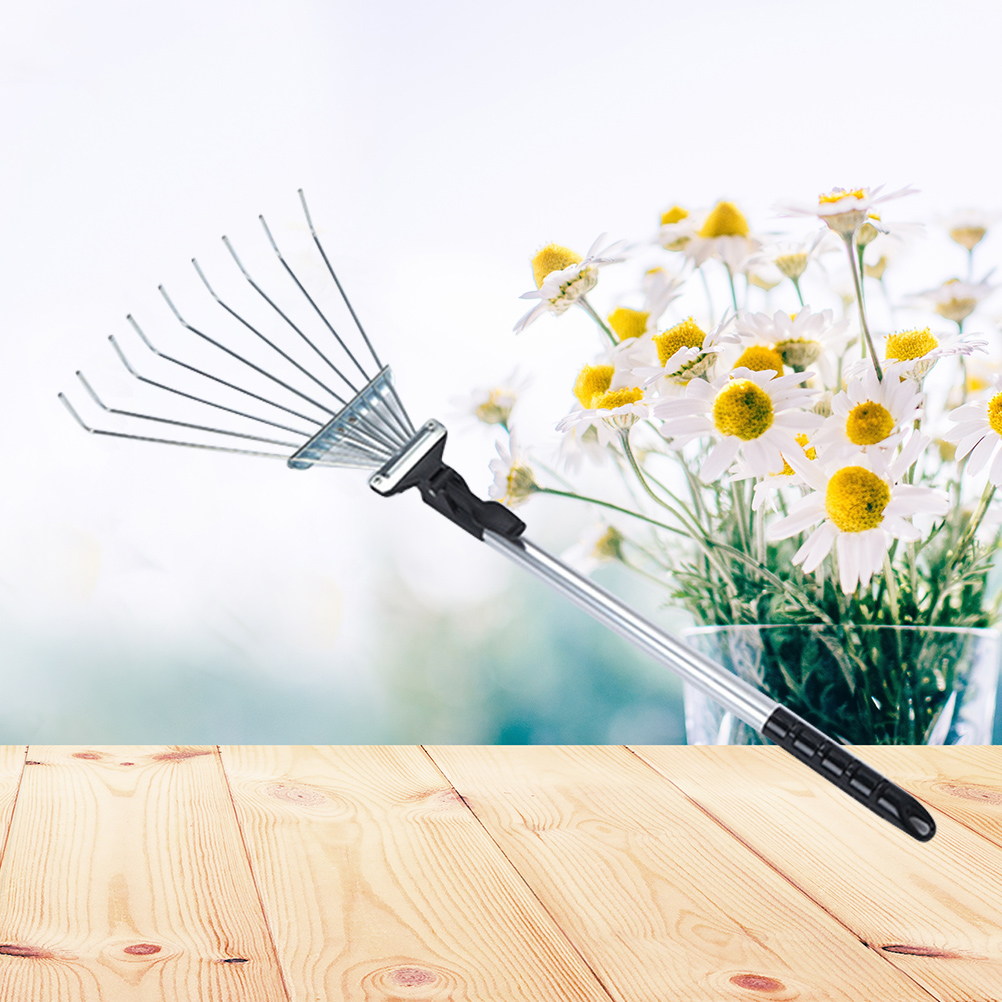 Garden Backyard Lawn Debris Cleaner Farm Garbage 9... – Grandado