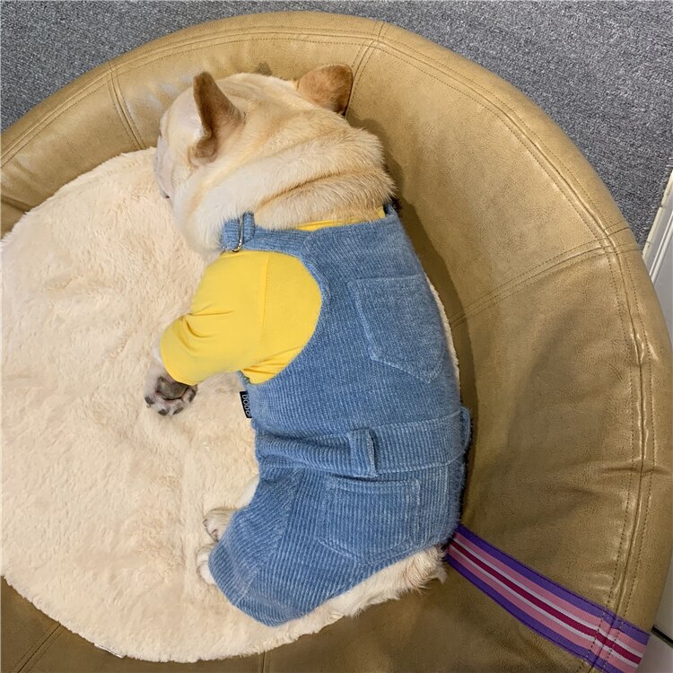 Dog Jumpsuit Winter Clothes for Cats Pink Cloth It... – Vicedeal