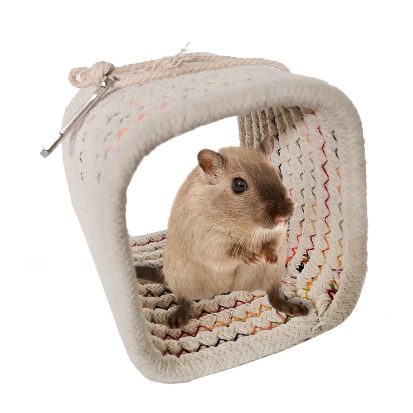 Kleine Dieren Hamster Tunnels Vouwen Hideout Speel... – Grandado