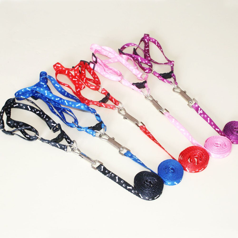 Puppy Lead Leash Toys Leash Chain Collars Interact... – Grandado