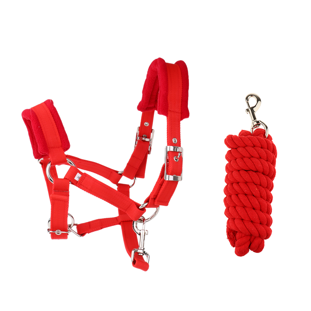 Soft Padded Adjustable Horse Head Collar Halter Mi... – Vicedeal