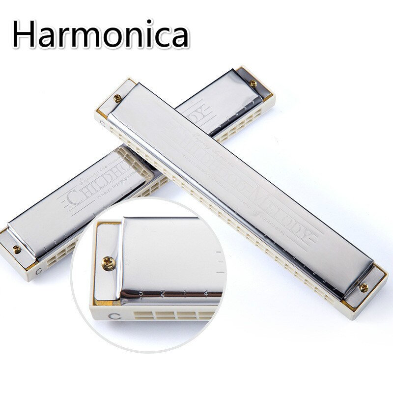 ZHENDUO Harmonica in C in polyphonic 24 holes for ... – Grandado