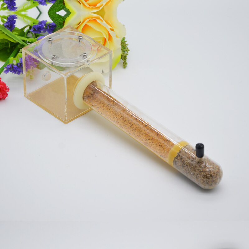 Pet ant flat test-tube nest concrete ant nest ant ... – Vicedeal