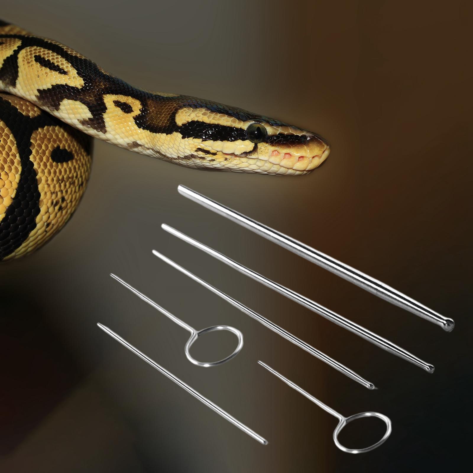 Pack-6 Snake Gender Detector Kit Different Size wi... – Grandado