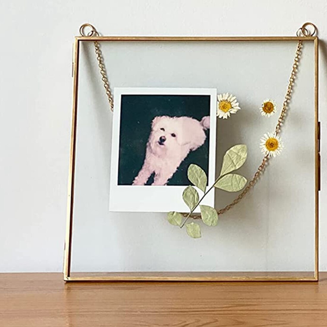 2Pcs Glass Frame for Pressed Flowers, Leaf and Art... – Grandado