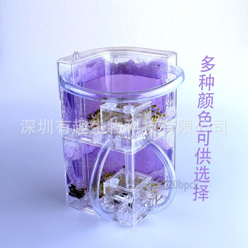 Double-layer Ant Cage Acrylic Ant Workshop Undergr... – Vicedeal
