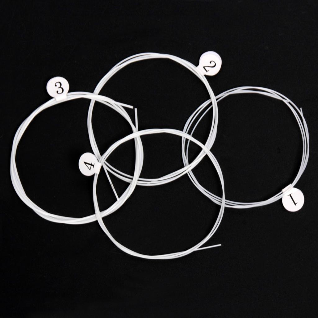 Ukulele Nylon Strings 1st-4th String for Tenor for... – Grandado