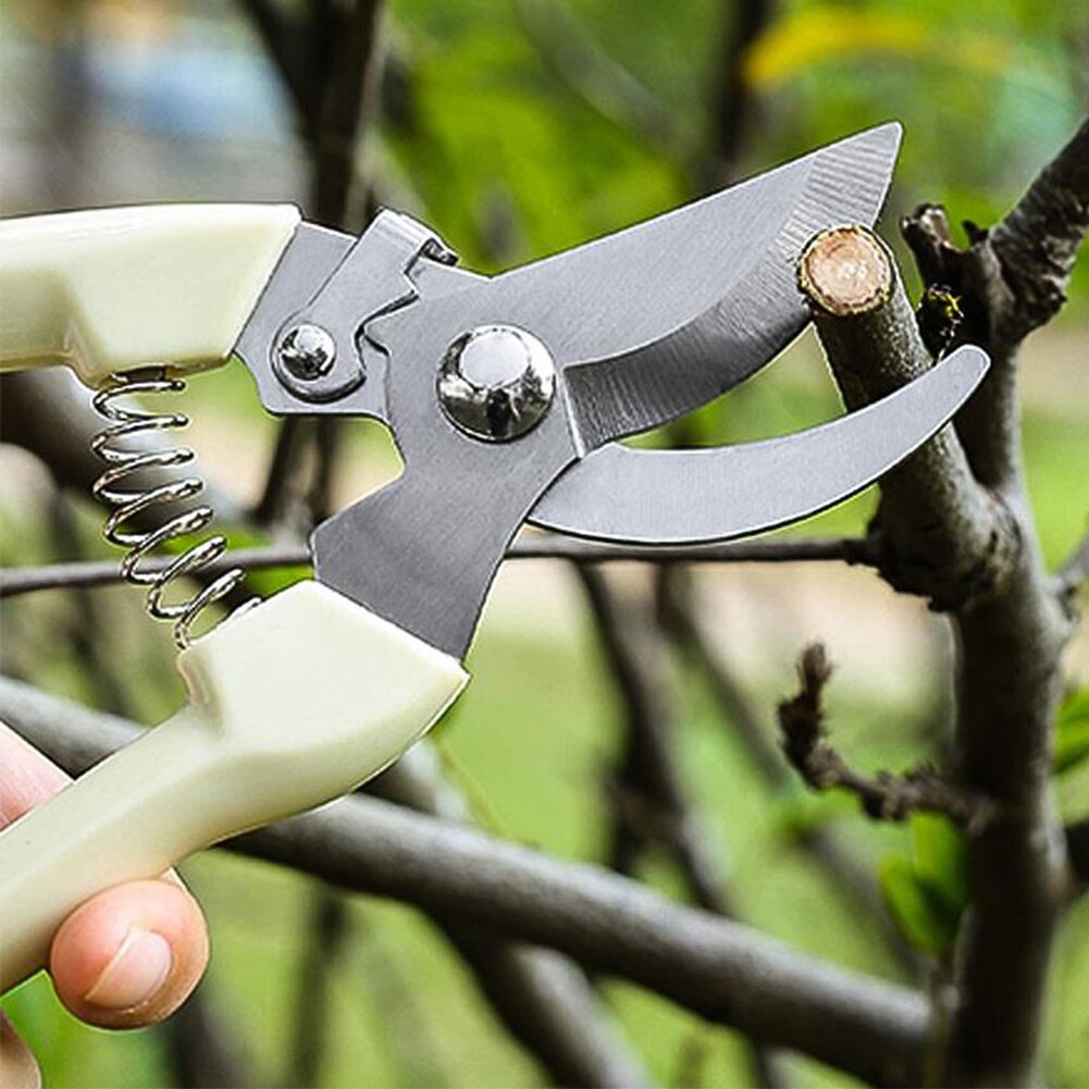 Garden scissors for Plant Trim Horticulture Hand b... – Vicedeal