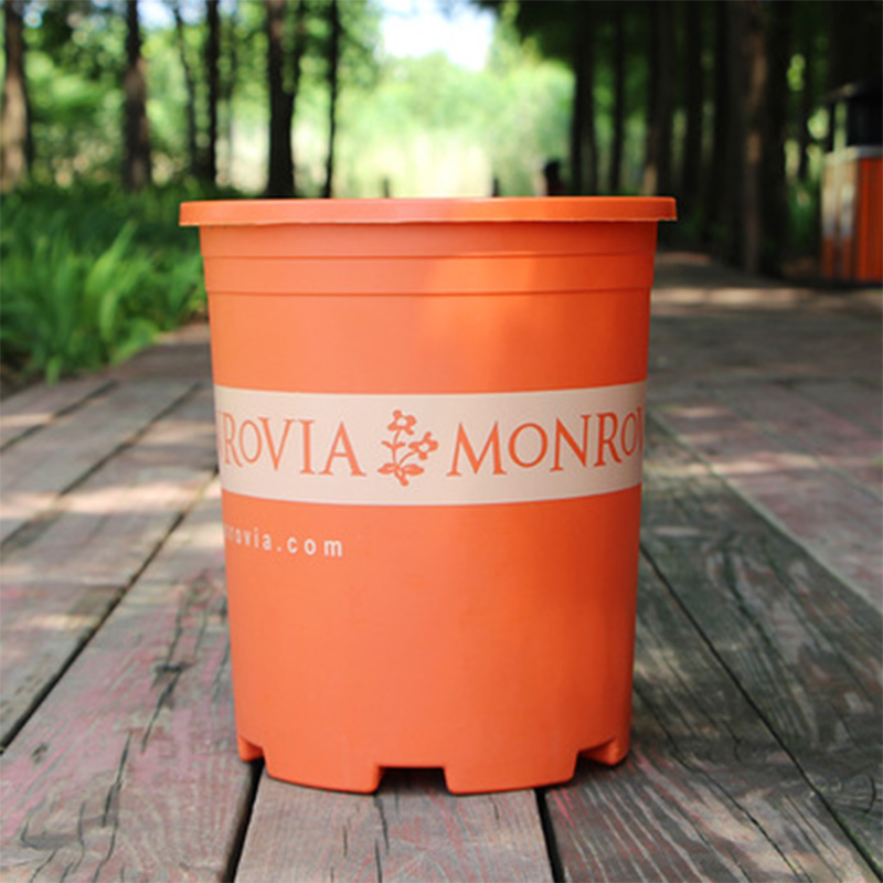 Flower Pot Garden Supplies Green Flower Pot Rose G... – Vicedeal