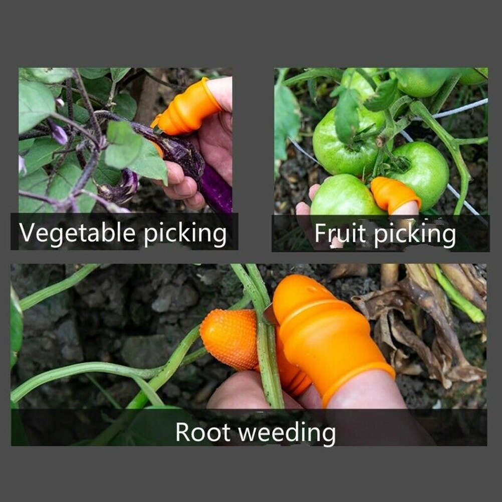 Thumb Cutter Gardening Tools Picking Plant Vegetab... – Grandado