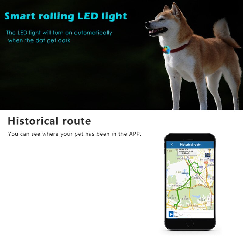 Smart 2G Gsm Waterdichte IP67 Huisdier Wifi + Gps ... – Grandado