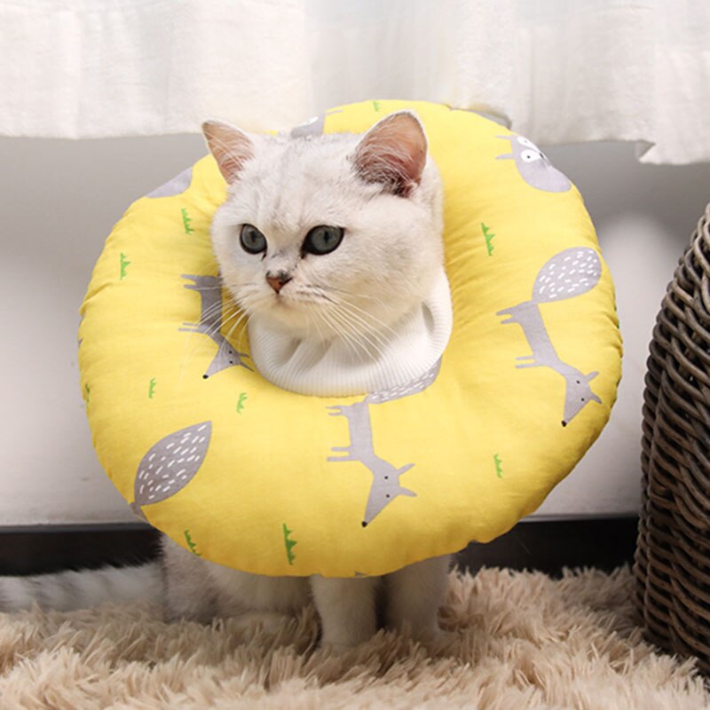 Pet Protective Recovery Collar Cat Dog Anti Lickin... – Vicedeal