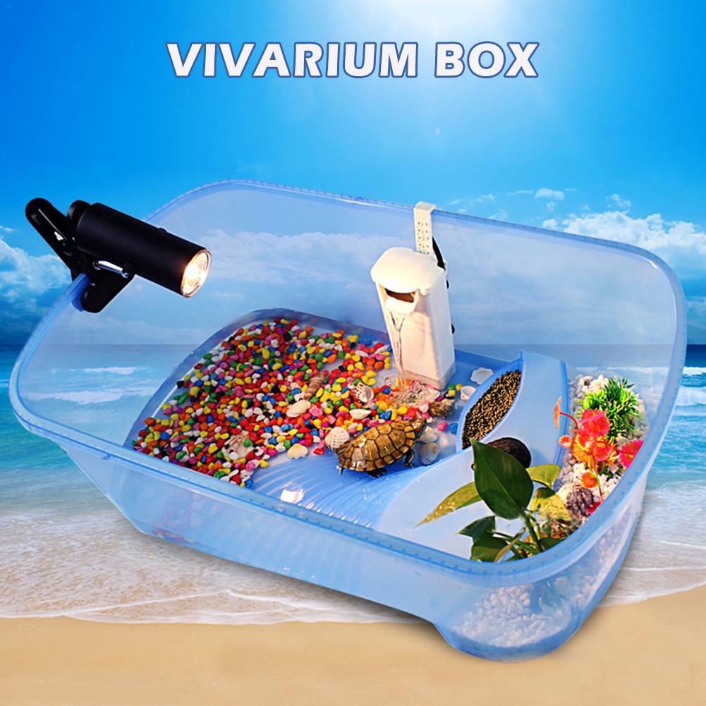 Aquarium Transparent Turtle Breeding Box Reptile P... – Vicedeal