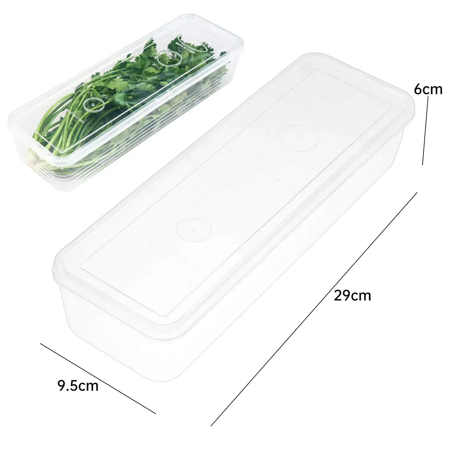 Fresh Box Refrigerator Storage Boxes Scallions Foo... – Grandado