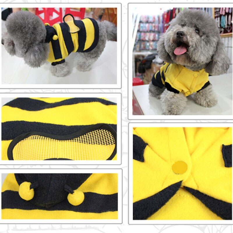 Cat Dog Clothing Cute Bumble Bee Dress Up Costume ... – Grandado