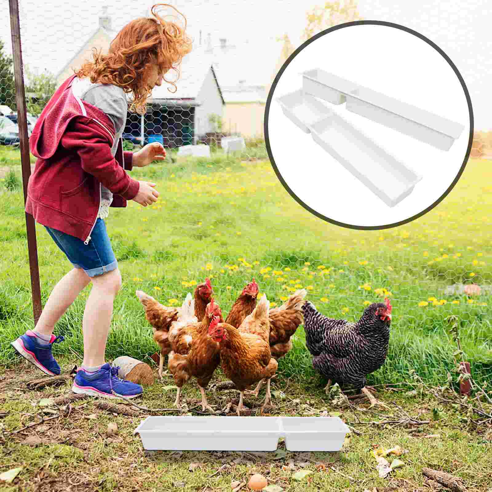 2pcs Chicken Drinking Water Box Double Poultry Gro... – Vicedeal