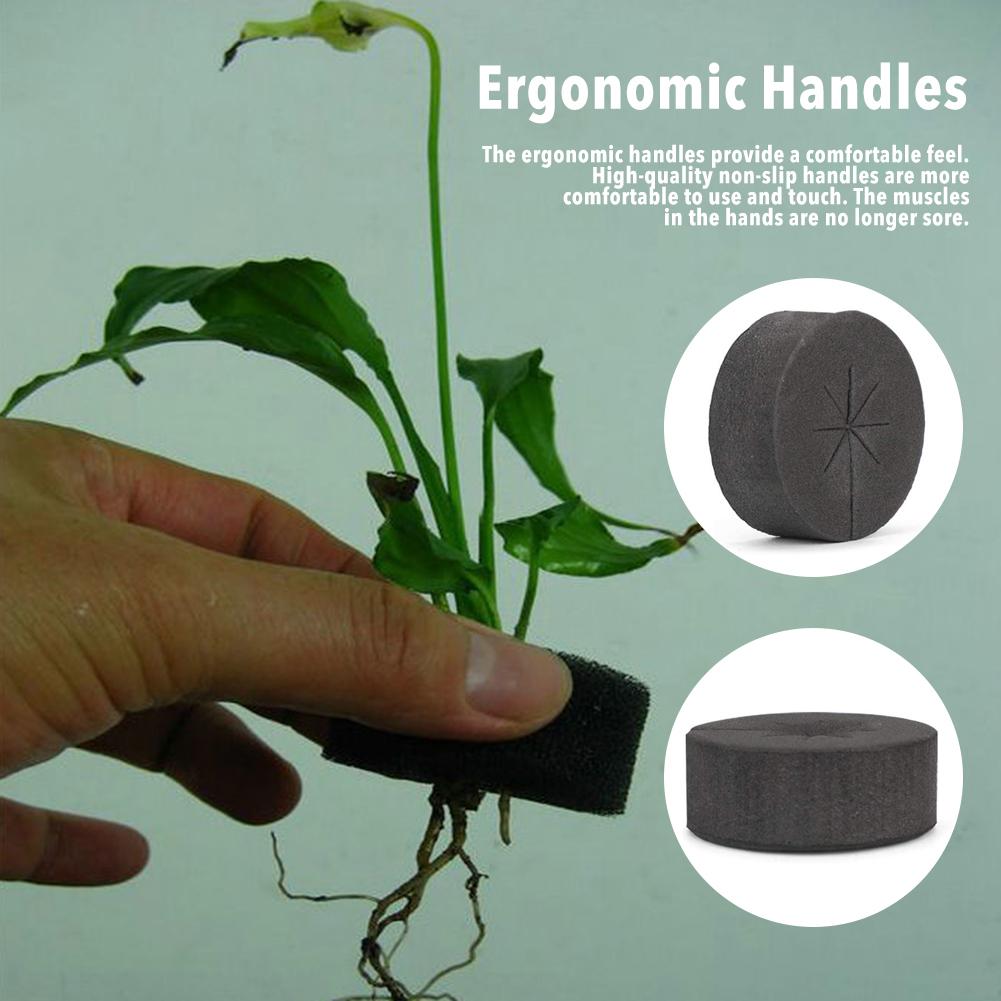 30 PCS Garden Clone Collars Neoprene Inserts Spong... – Grandado
