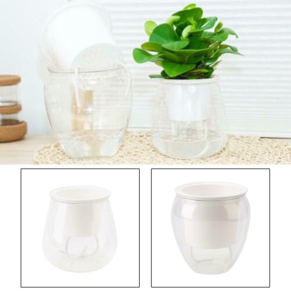 Transparent Self Watering Plant Flower Planting Po... – Grandado