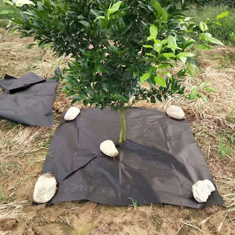 10Pcs Garden Weeding Control Membrane Ground Cover... – Grandado