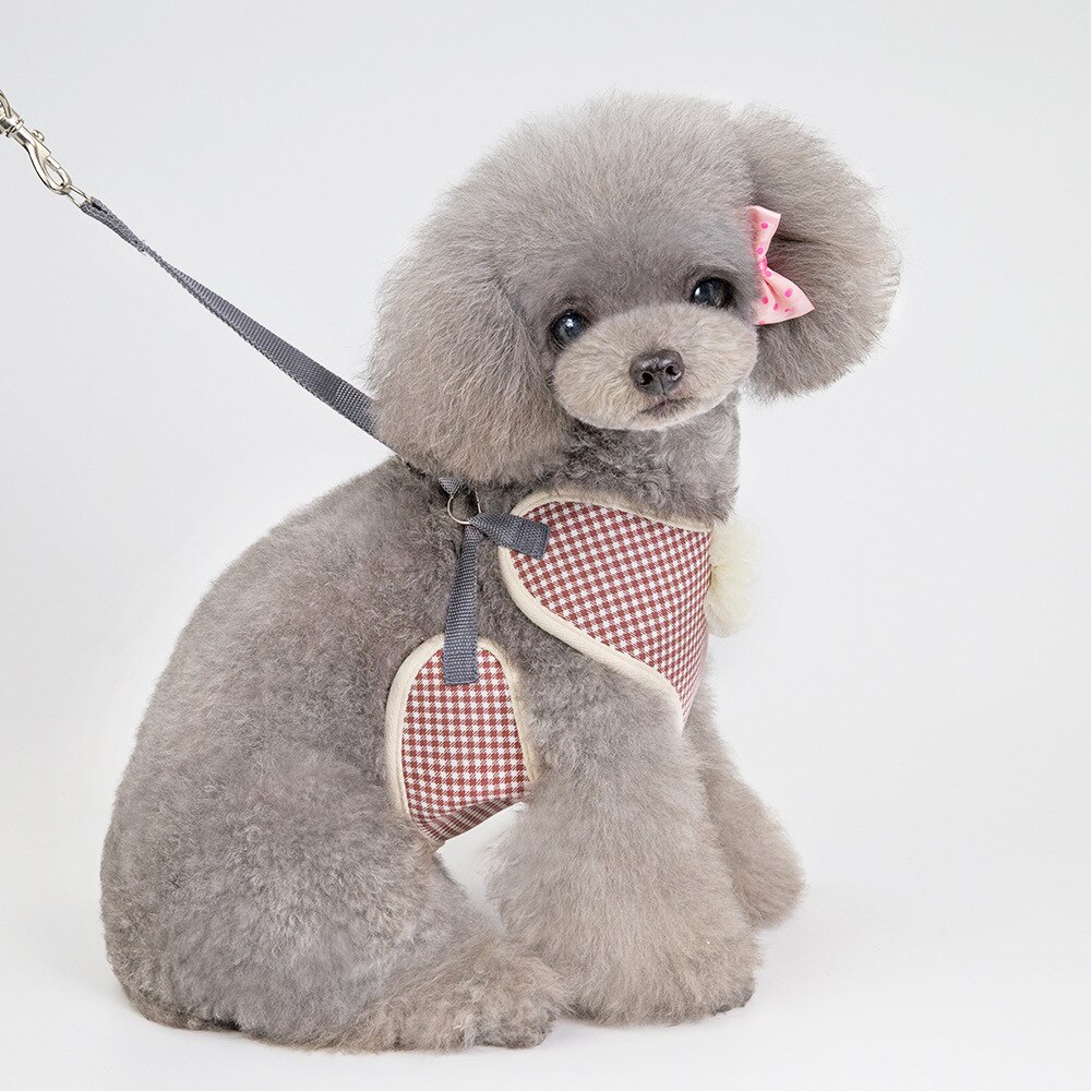 Mesh Small Dog Harness And Leash Set Puppy Cat Ves... – Vicedeal