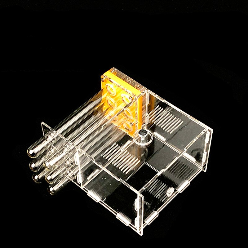 1PCS Six Tube Nest Ants Farm House Insect Box Acry... – Grandado