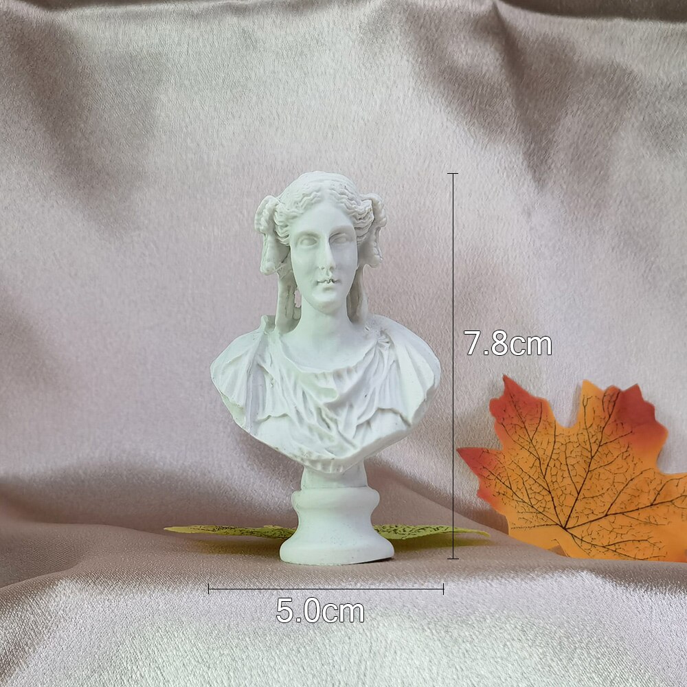 Sculpture Series Plaster Human Head Photo Backdrop... – Vicedeal