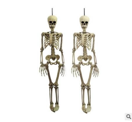 Us halloween poseable life size skeleton party pro... – Vicedeal