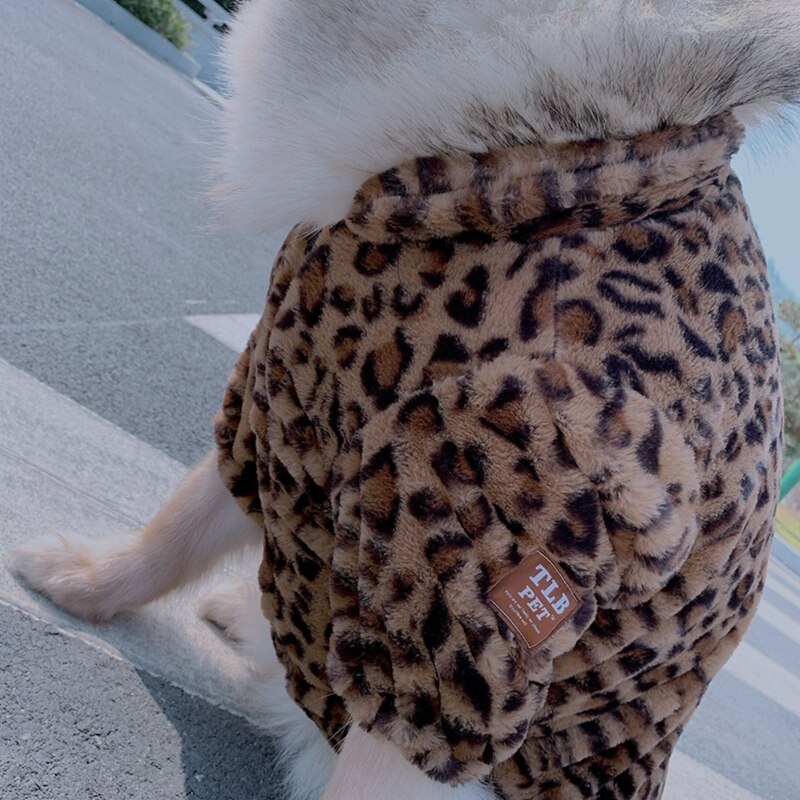 Dog Leopard Print Coat Free Necklace Warm Clothes ... – Grandado
