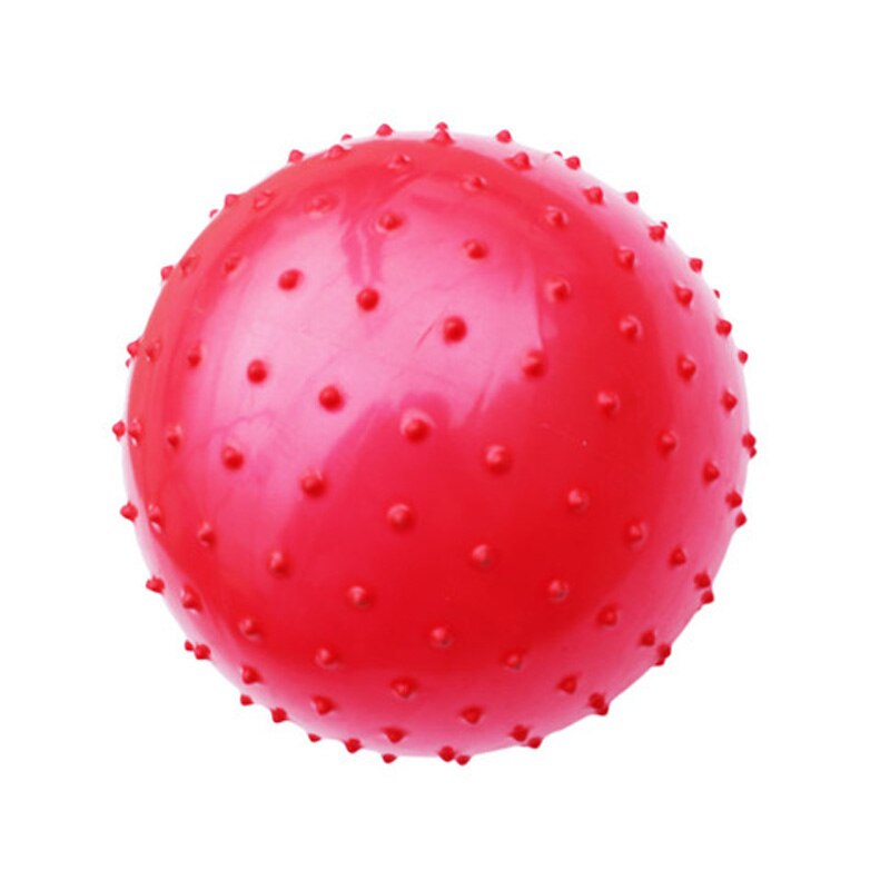 75cm Yogaball Physical Fitness Appliance Exercise ... – Grandado