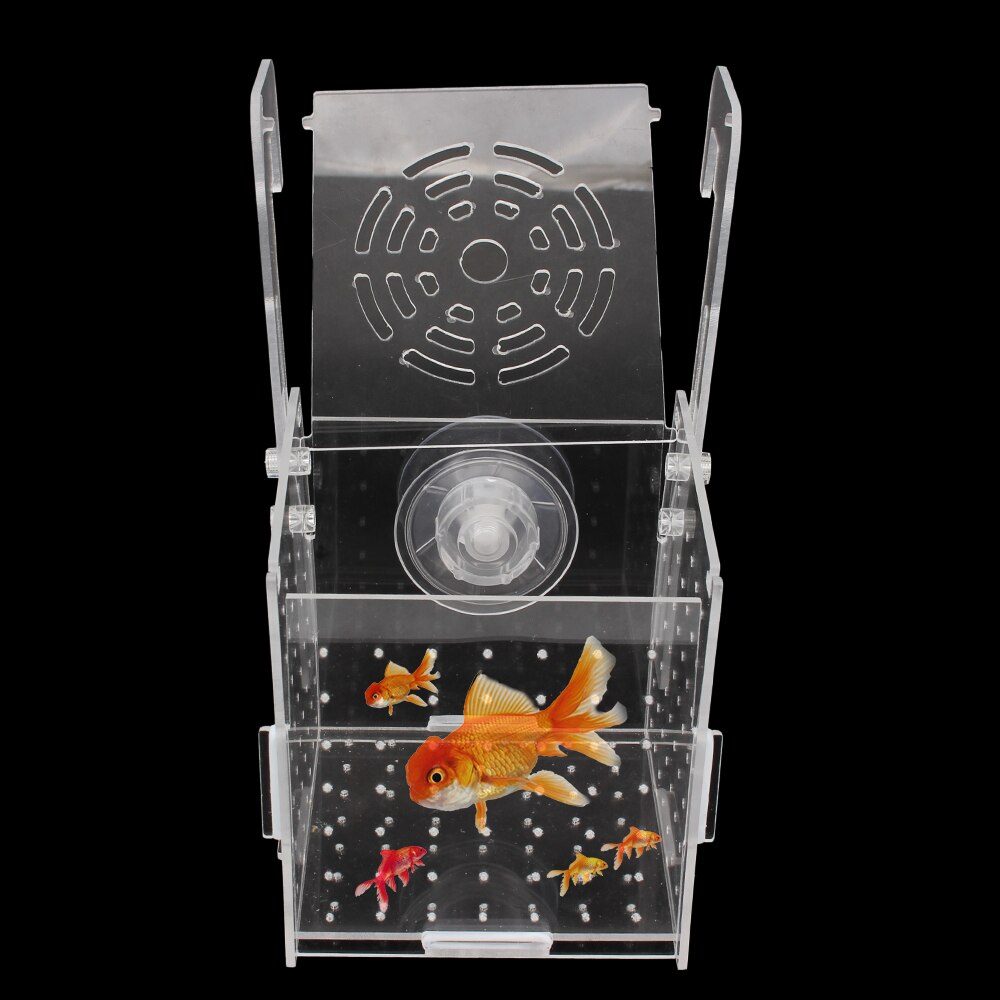 Acrylic Fish Tank Aquarium Box Small Fish Isolatio... – Vicedeal