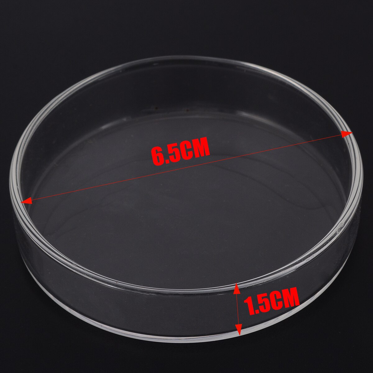 1PC Aquarium Fish Tank Container 6.5cm x 1.5cm Cle... – Grandado