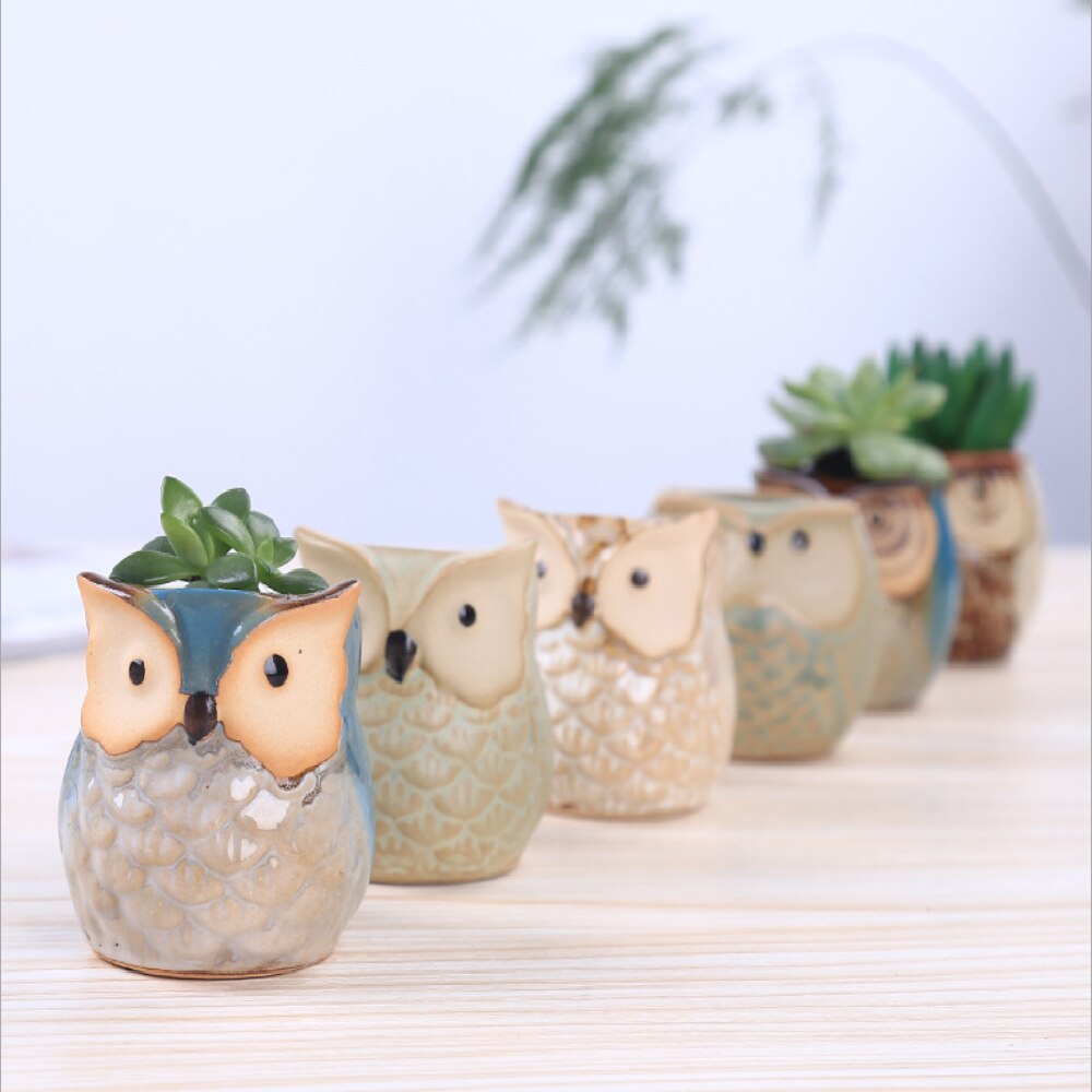 Uil Dier Thumb Mini Model Zakka Planter Bloempot P... – Vicedeal