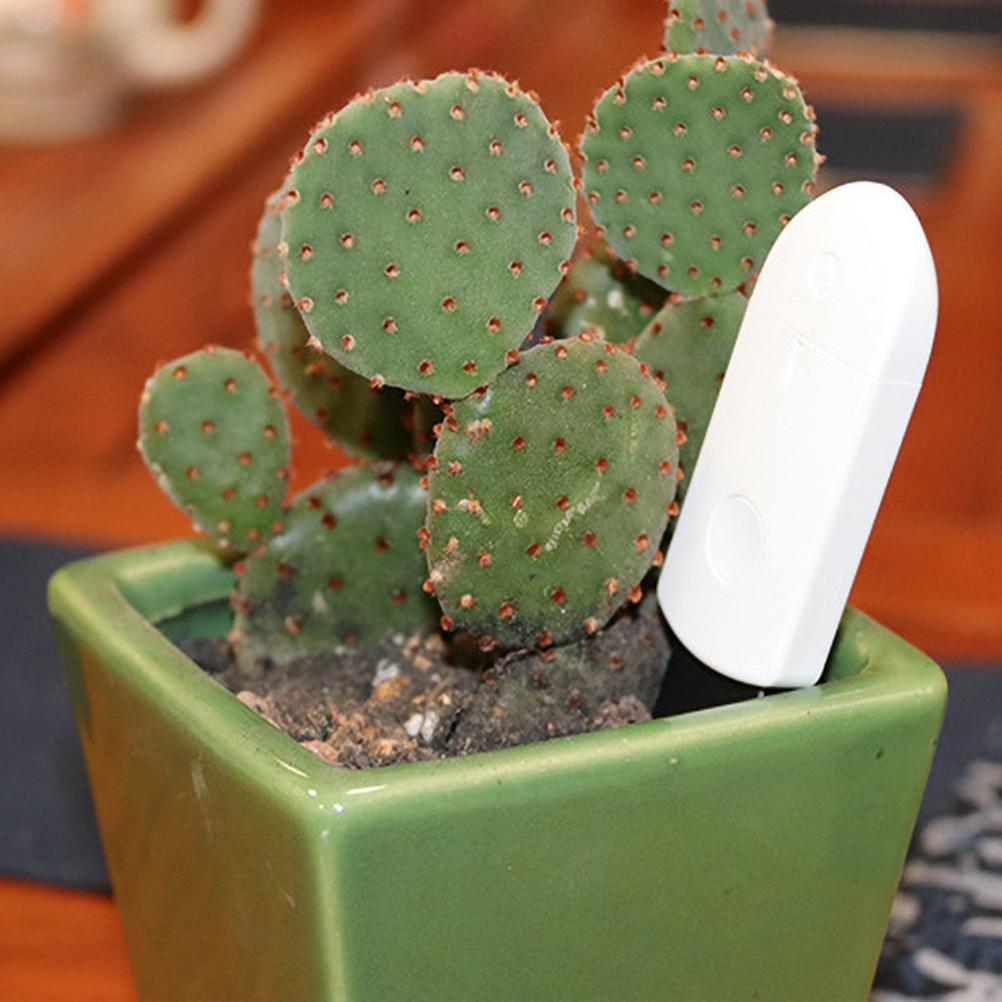 Soil Moisture Tester Garden Plant Flower Testing T... – Grandado