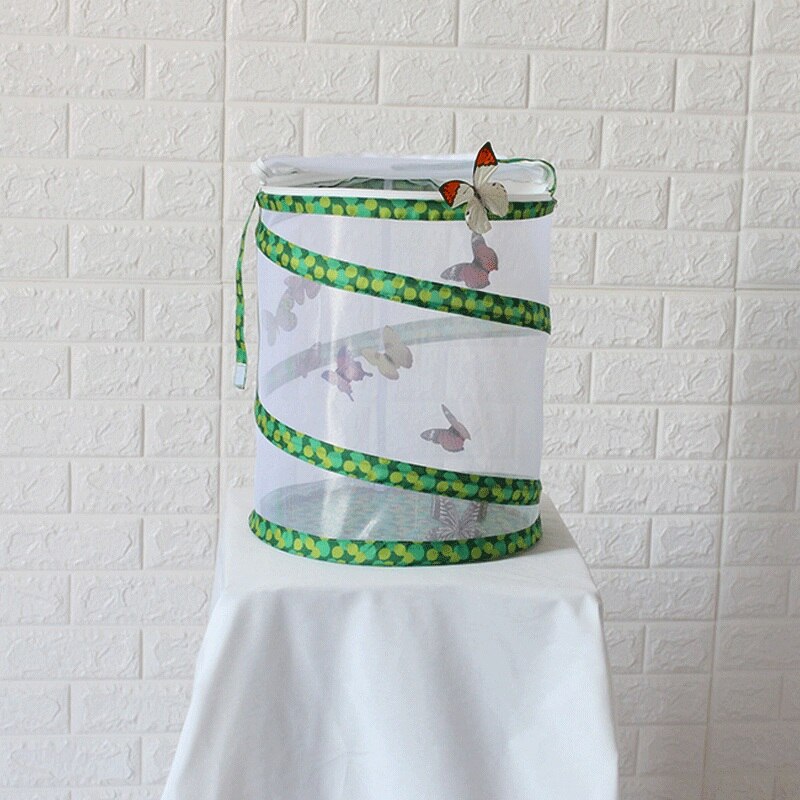 Mantis Stick Small Insect Butterfly Plant Cage Bre... – Grandado