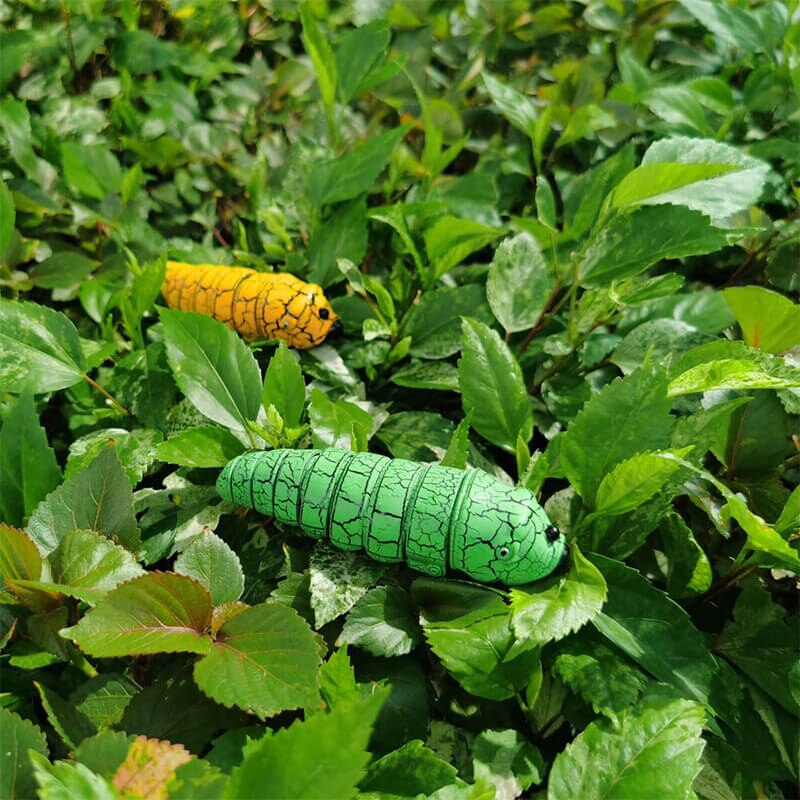 Grappige Afstandsbediening Insect Rups Plastic Inf... – Vicedeal
