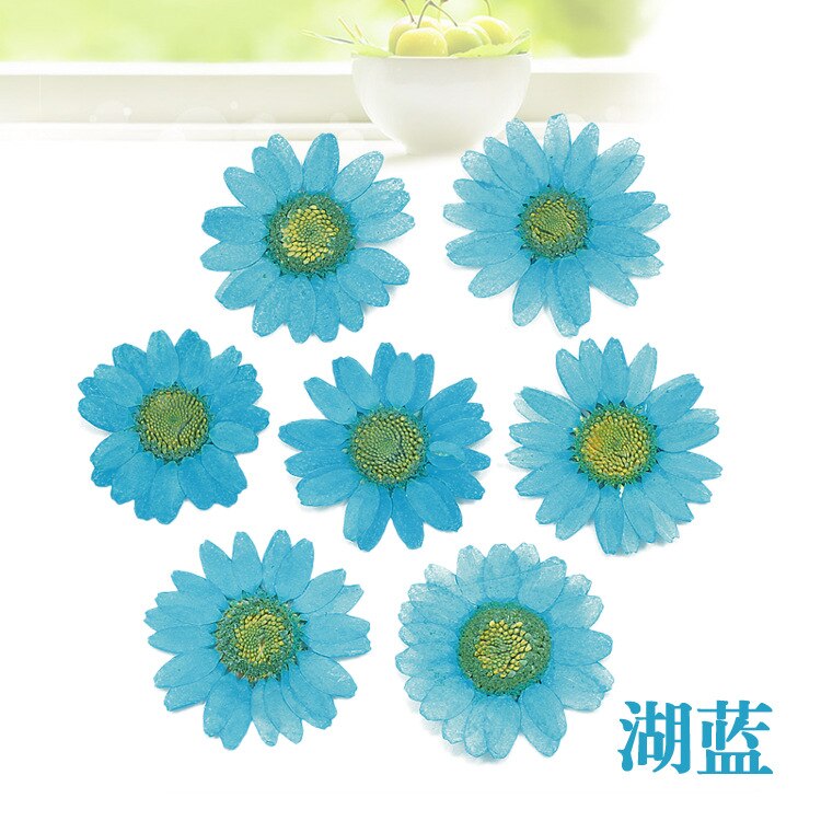 Witte Chrysant Bloem Droge Bloem Bloem Embossing D... – Vicedeal