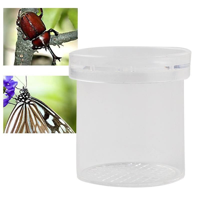 Magnify Cup Insect Viewer Viewer Office Loupe Tool... – Grandado