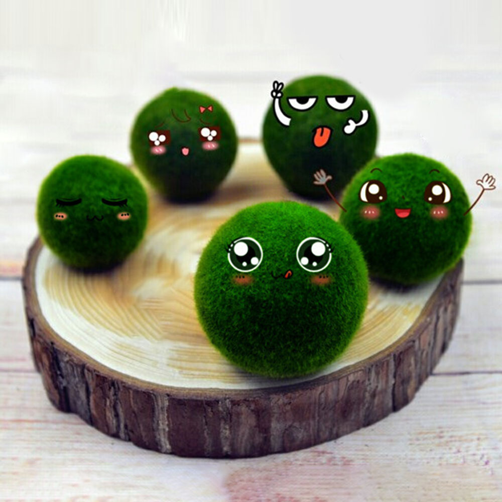 Aquarium Moss Aquarium Alive Live Fishes Plants Aq... – Vicedeal