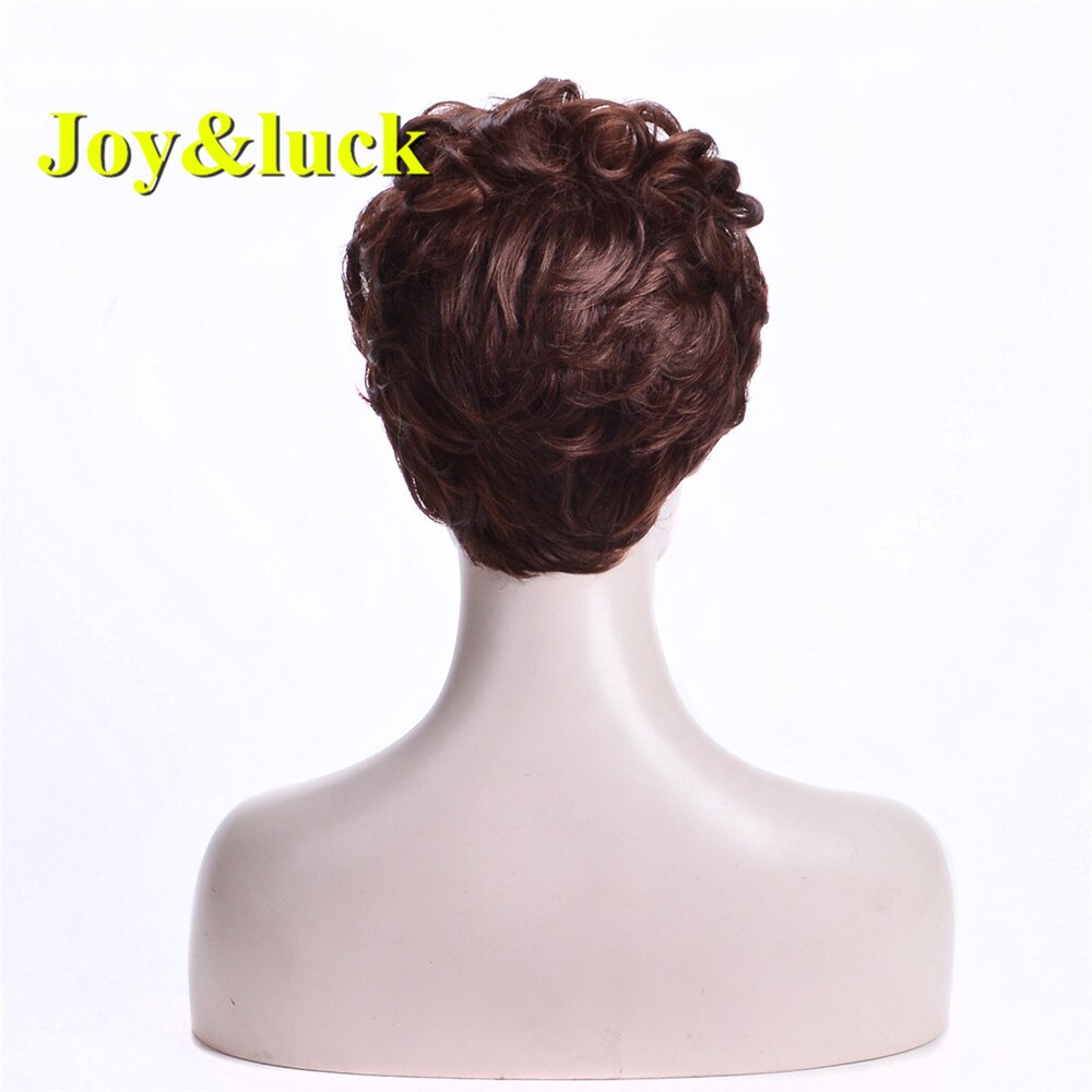 Joy&luck Short Wig Culry Synthetic Wigs for Women ... – Grandado