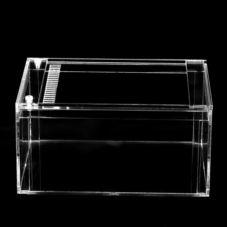 Reptiles Lizard Boxes Reptiles Terrarium Detachabl... – Vicedeal