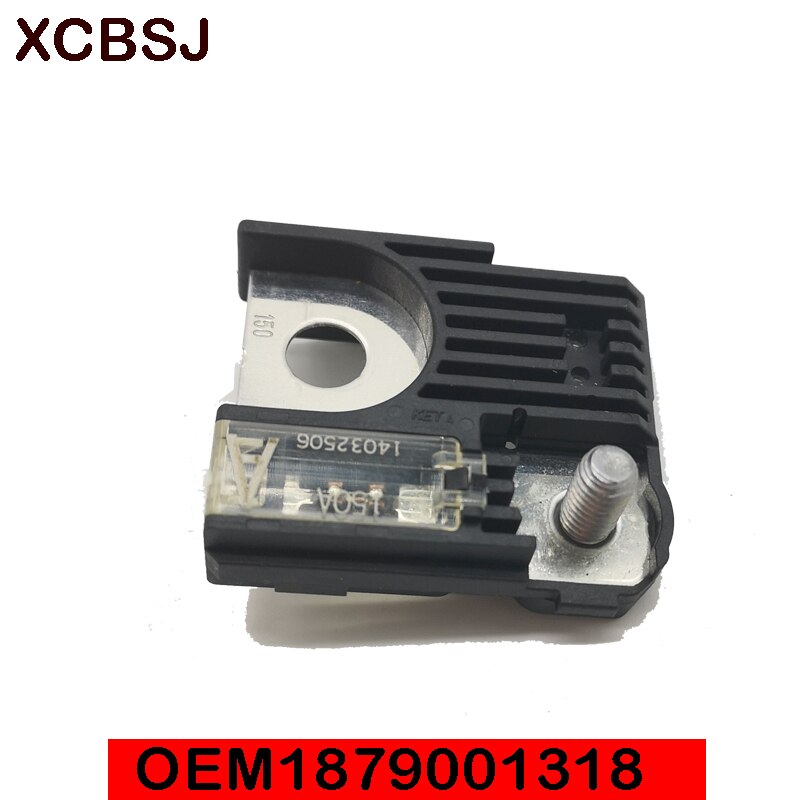 Genuine 150 fuse Fuse MULTI FUSE 18790 01318 for h... – Grandado