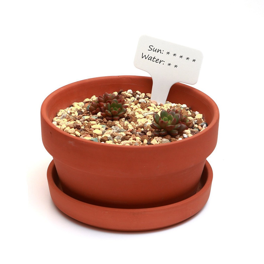 Nursery Plants Marker Labels Plant Name Tags Plant... – Grandado